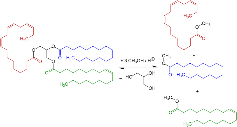 How Biodiesel Produced || How Biodiesel Helps the Environment ...
