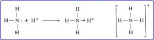 Amines: Nomenclature, Isomerism, Basic Characters – Chemistry Page